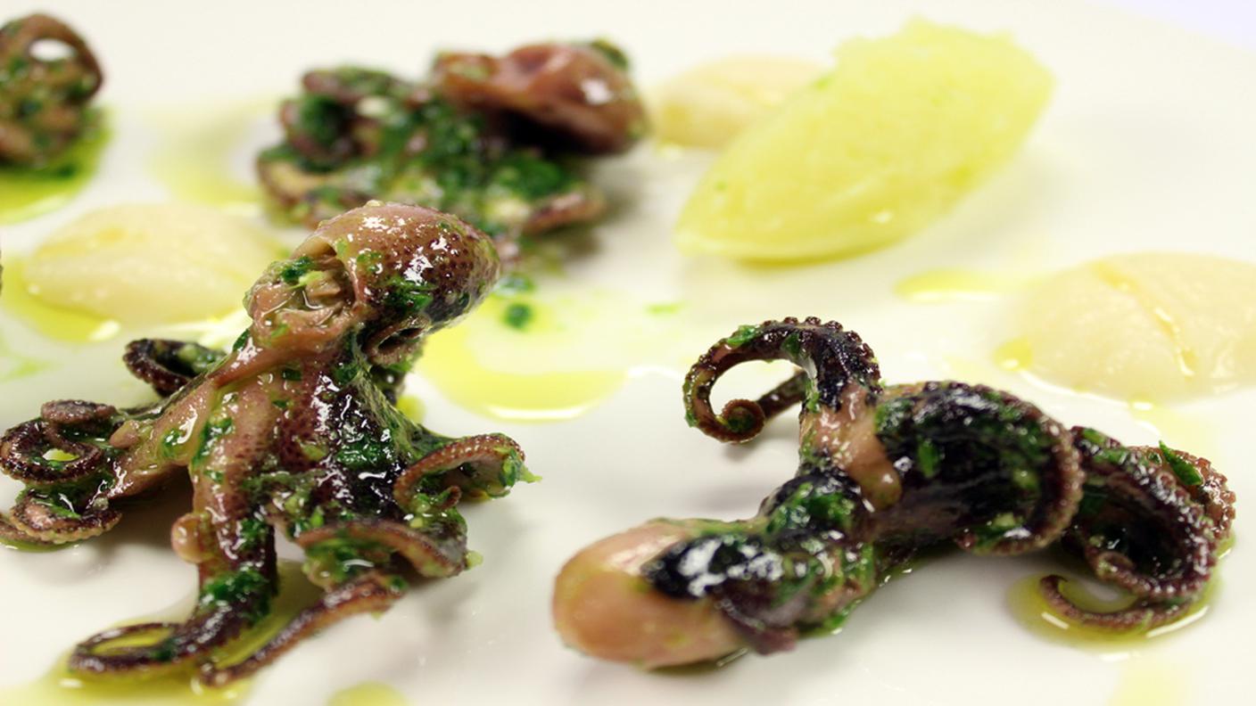 Moscardini al verde con patata al lime e ketchup di sedano rapa e ...