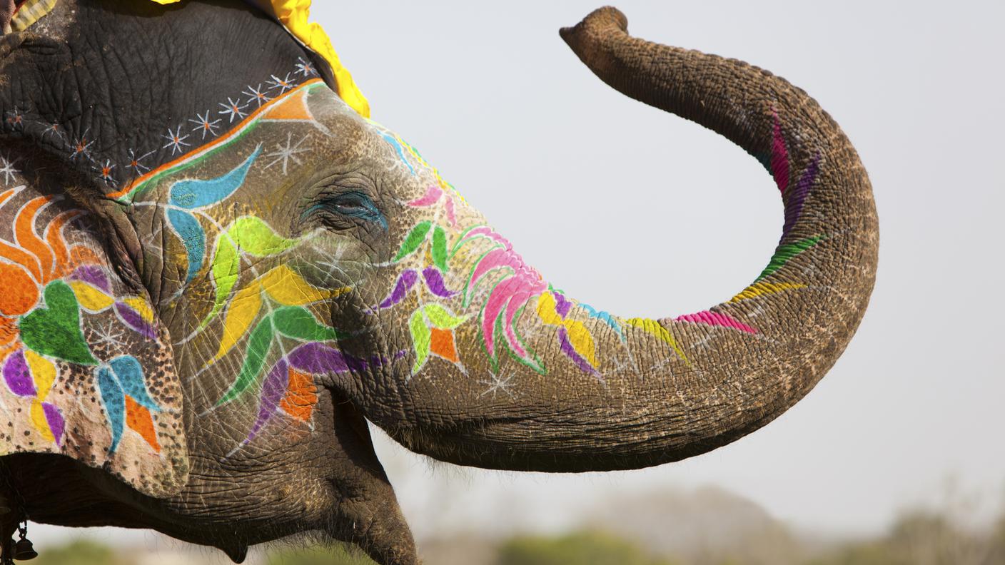 Miti e fiabe indiane e pachistane - RSI