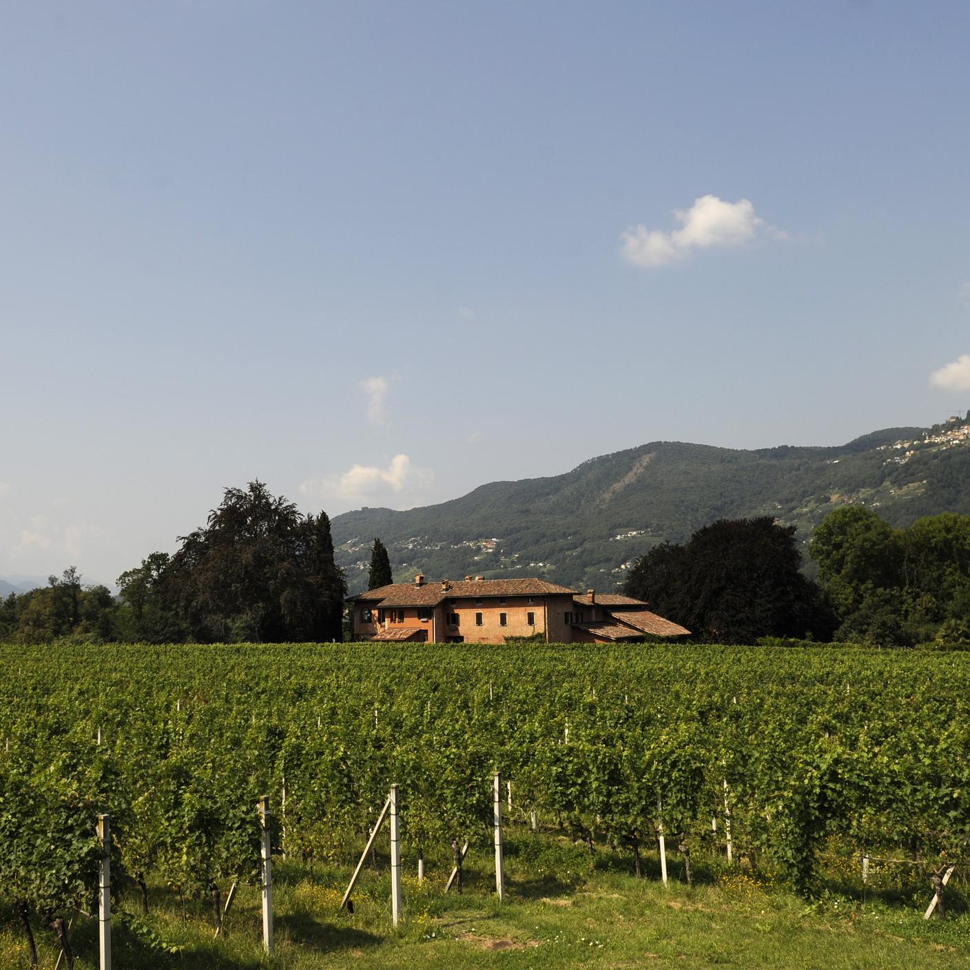 Vezia - RSI Radiotelevisione svizzera