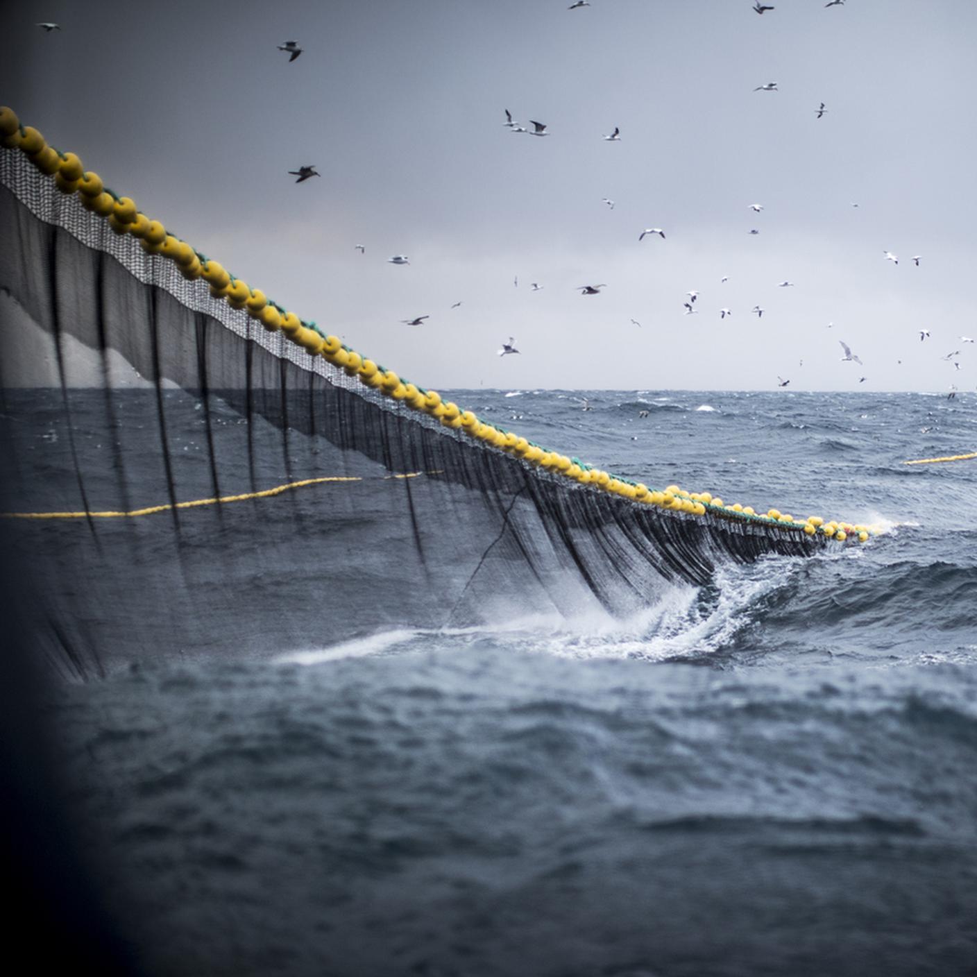 In Grecia vietano la pesca a strascico - RSI Radiotelevisione svizzera