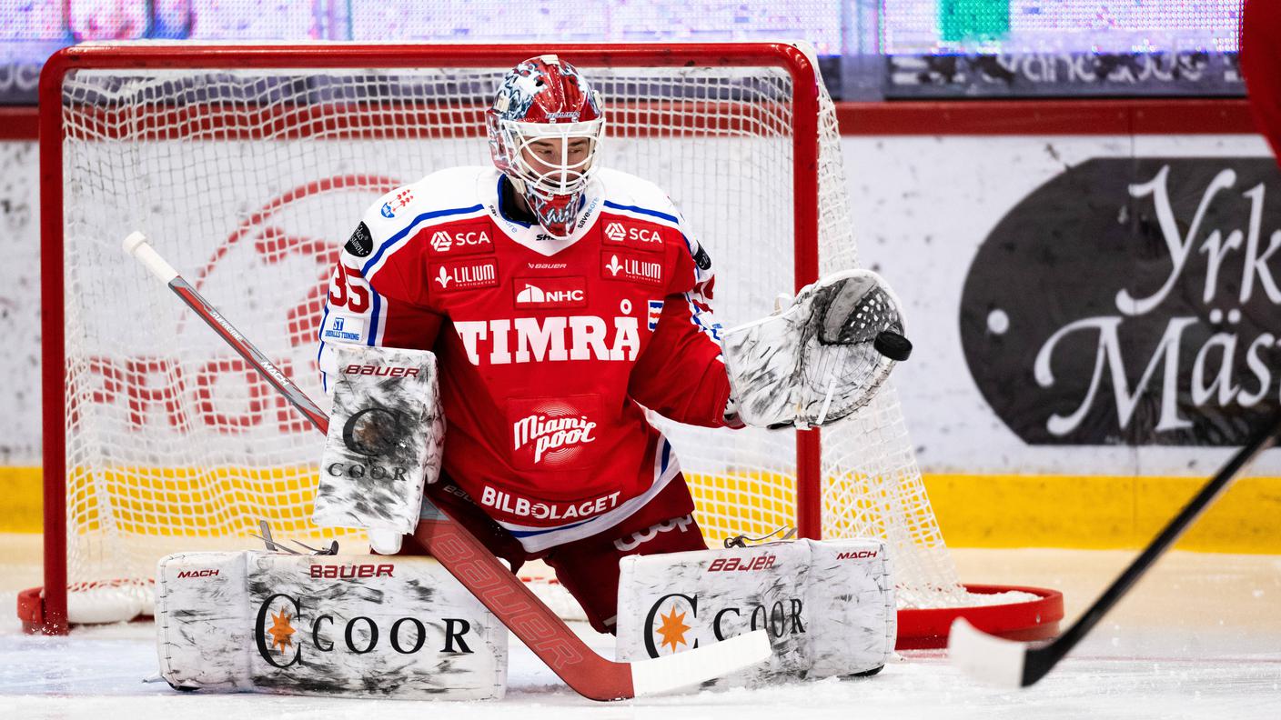 Un portiere svedese per il Langnau - RSI